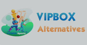 Best 10 VIPBox Alternatives to Watch Live Sports 2024 | Desire Marketing